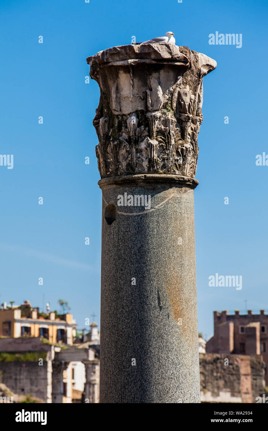 Ruins of the Forum of Caesar built by Julius Caesar near the Forum ...