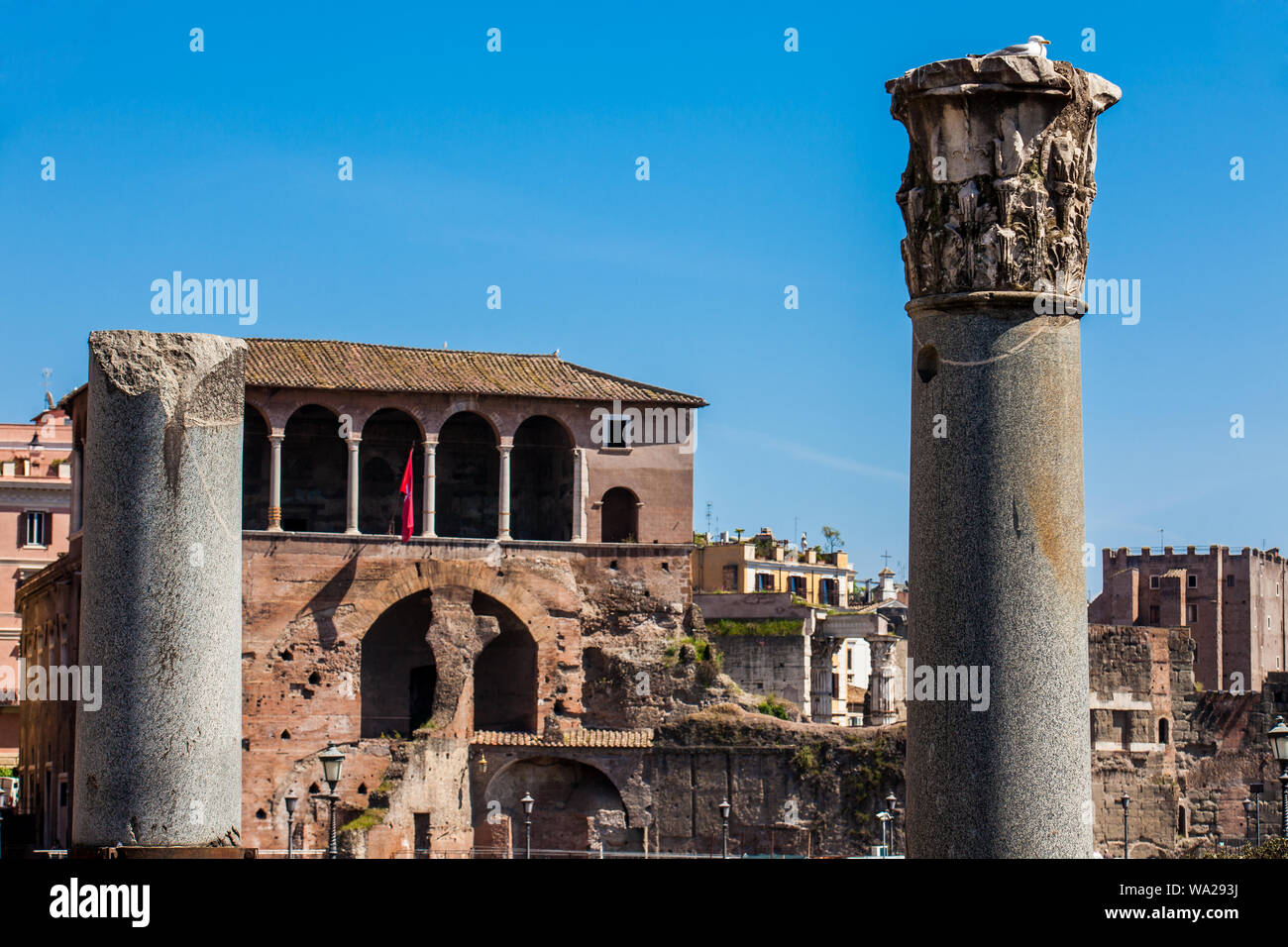 Ruins of the Forum of Caesar built by Julius Caesar near the Forum ...