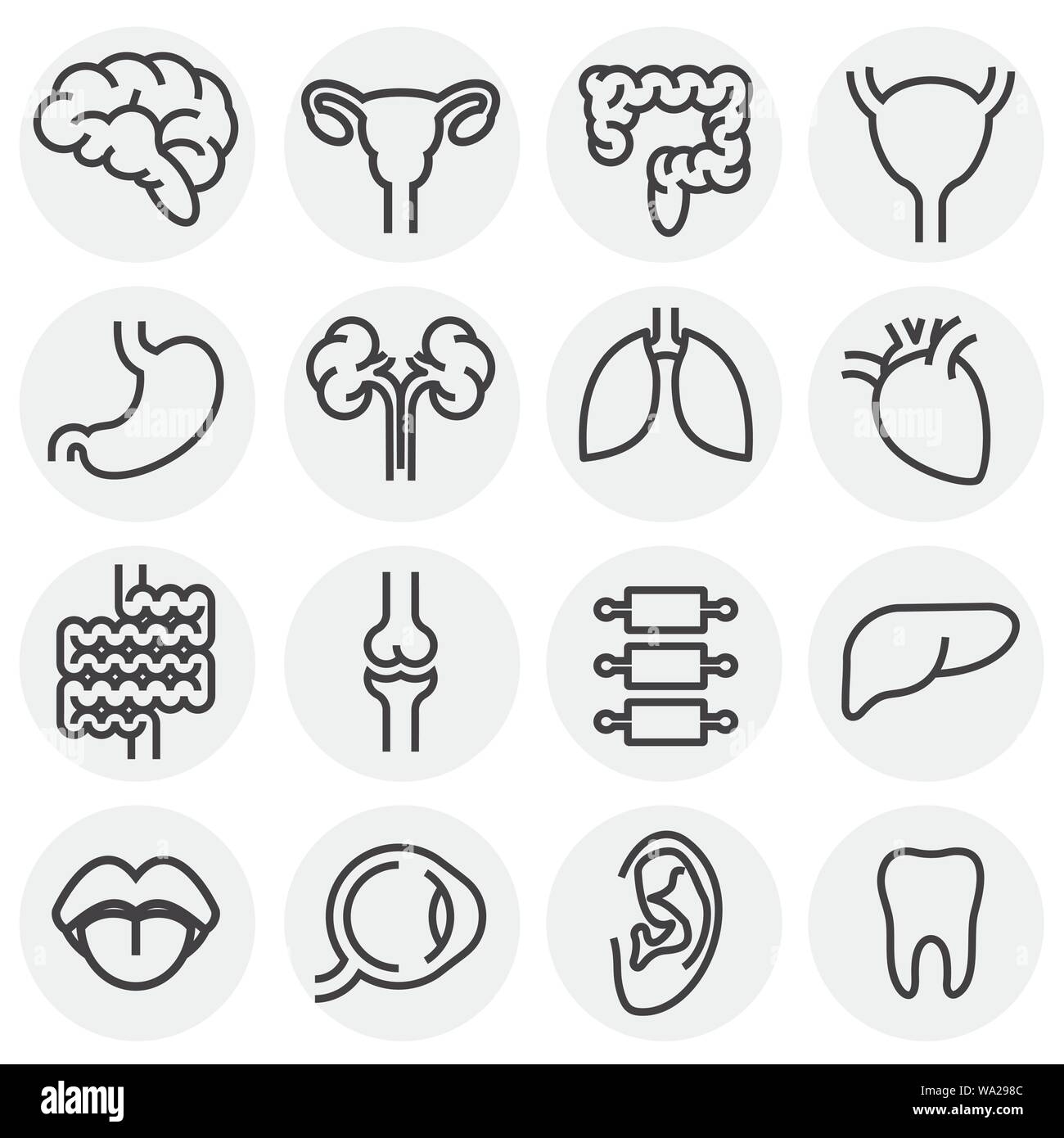 Human organs related icons set on background for graphic and web design ...
