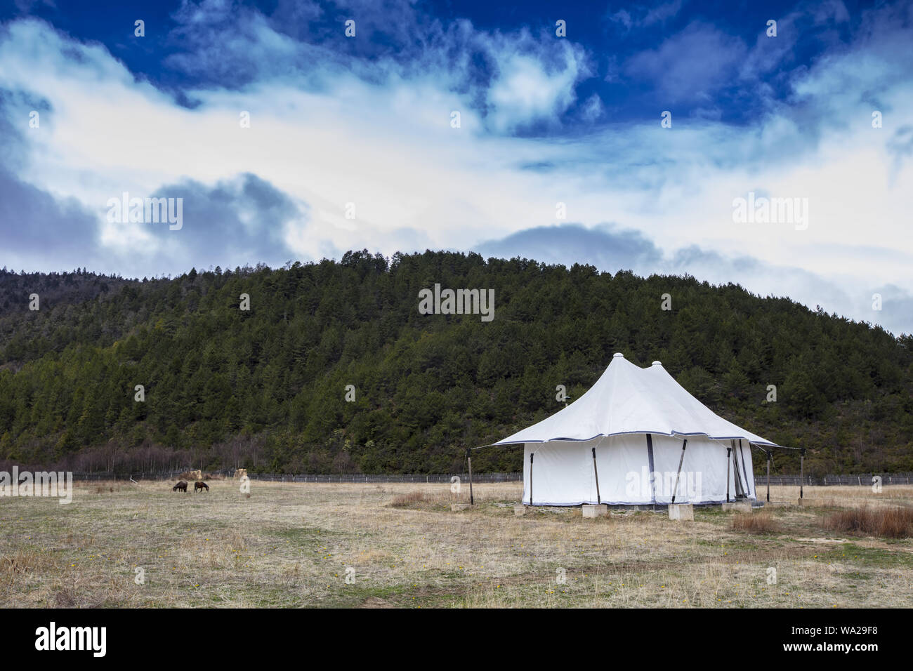 The diqing Tibetan autonomous prefecture, yunnan province shangri-la ...