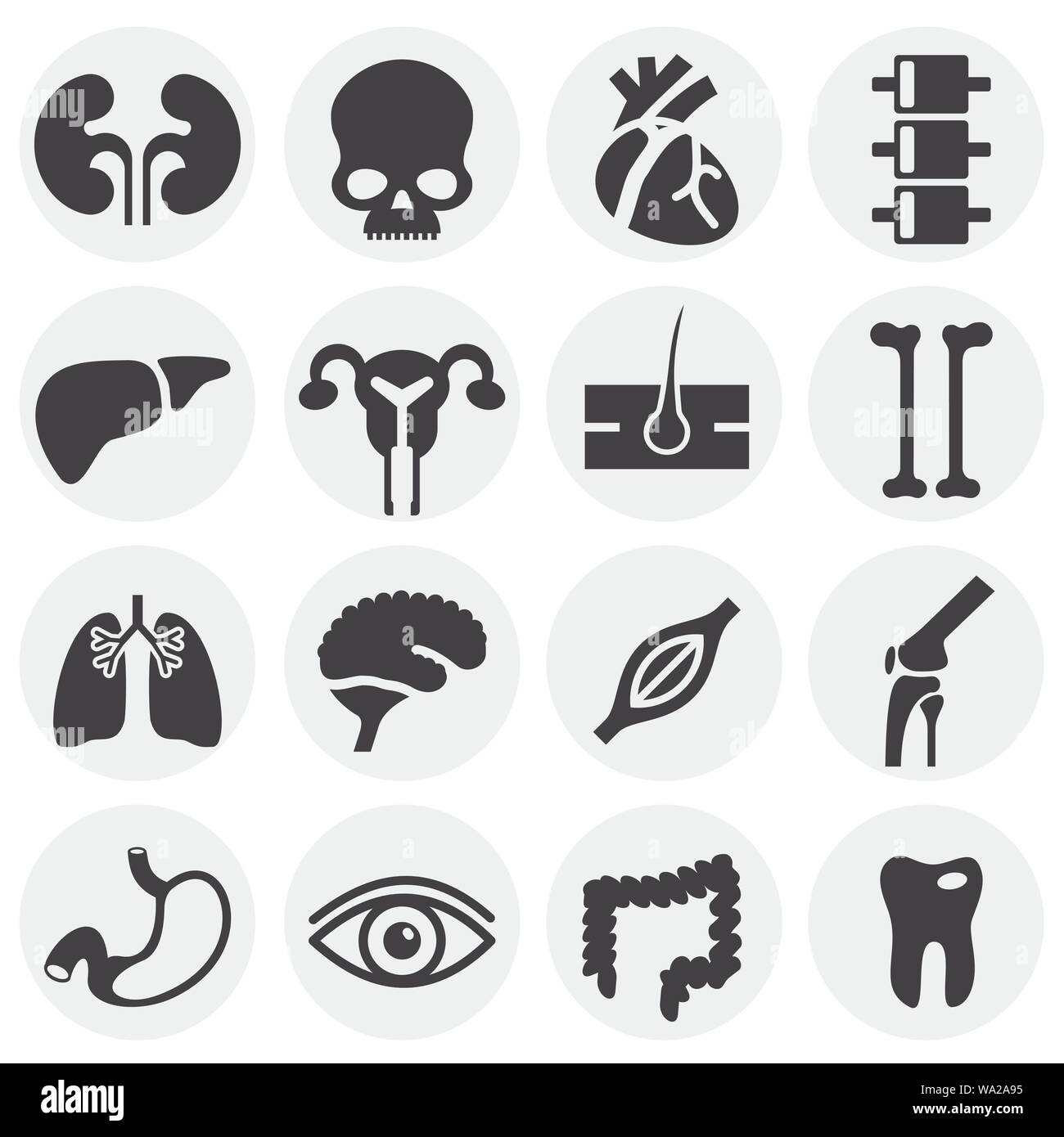 Human organs related icons set on background for graphic and web design ...