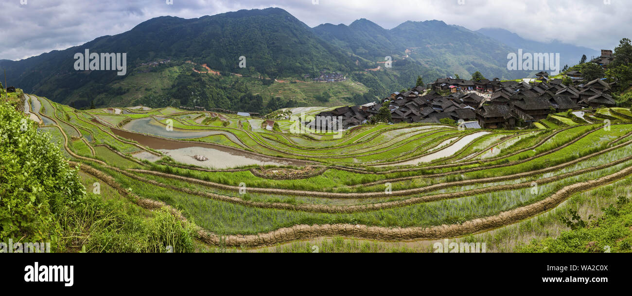 Add list terraces, guizhou province, xiasi, miao and dong autonomous ...