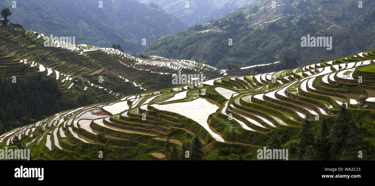 Congjiang hi-res stock photography and images - Alamy