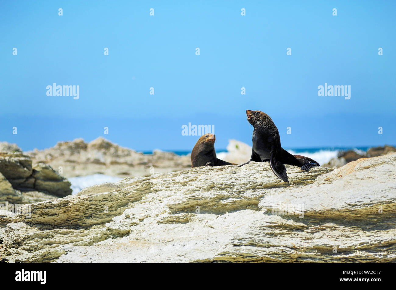 Kay island hi-res stock photography and images - Alamy
