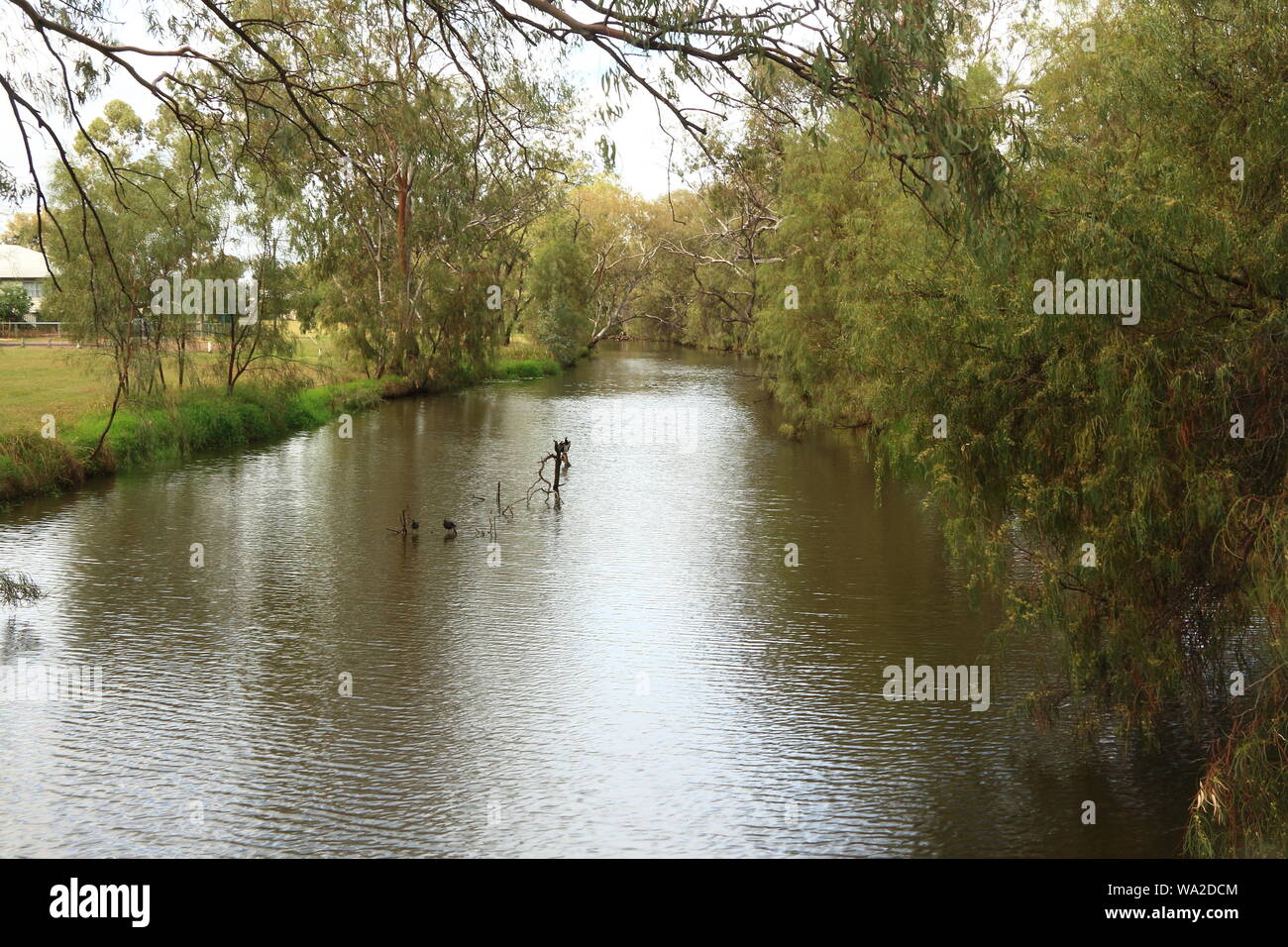 Myal creek hi-res stock photography and images - Alamy
