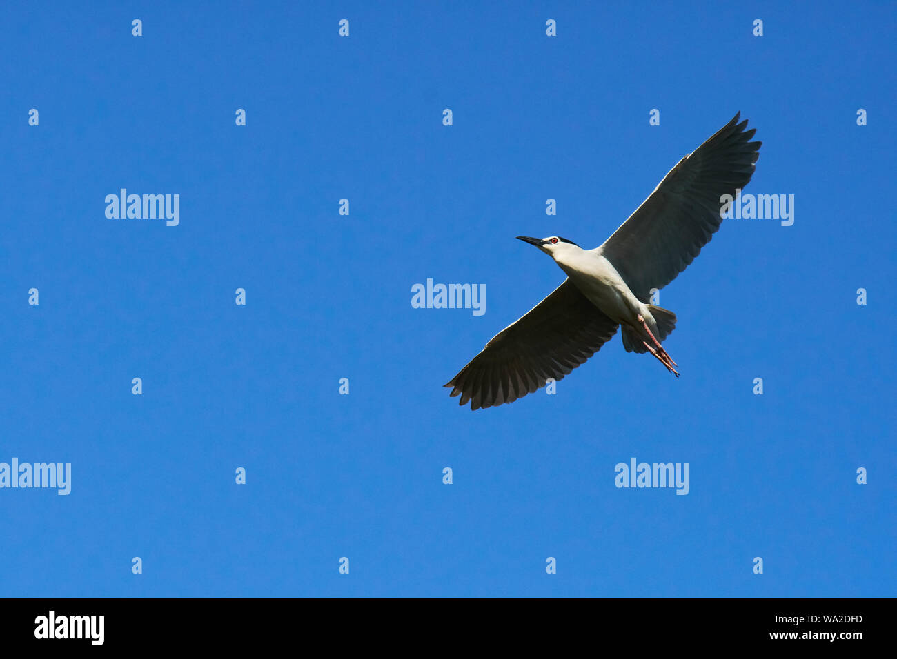 Fly ash hi-res stock photography and images - Alamy