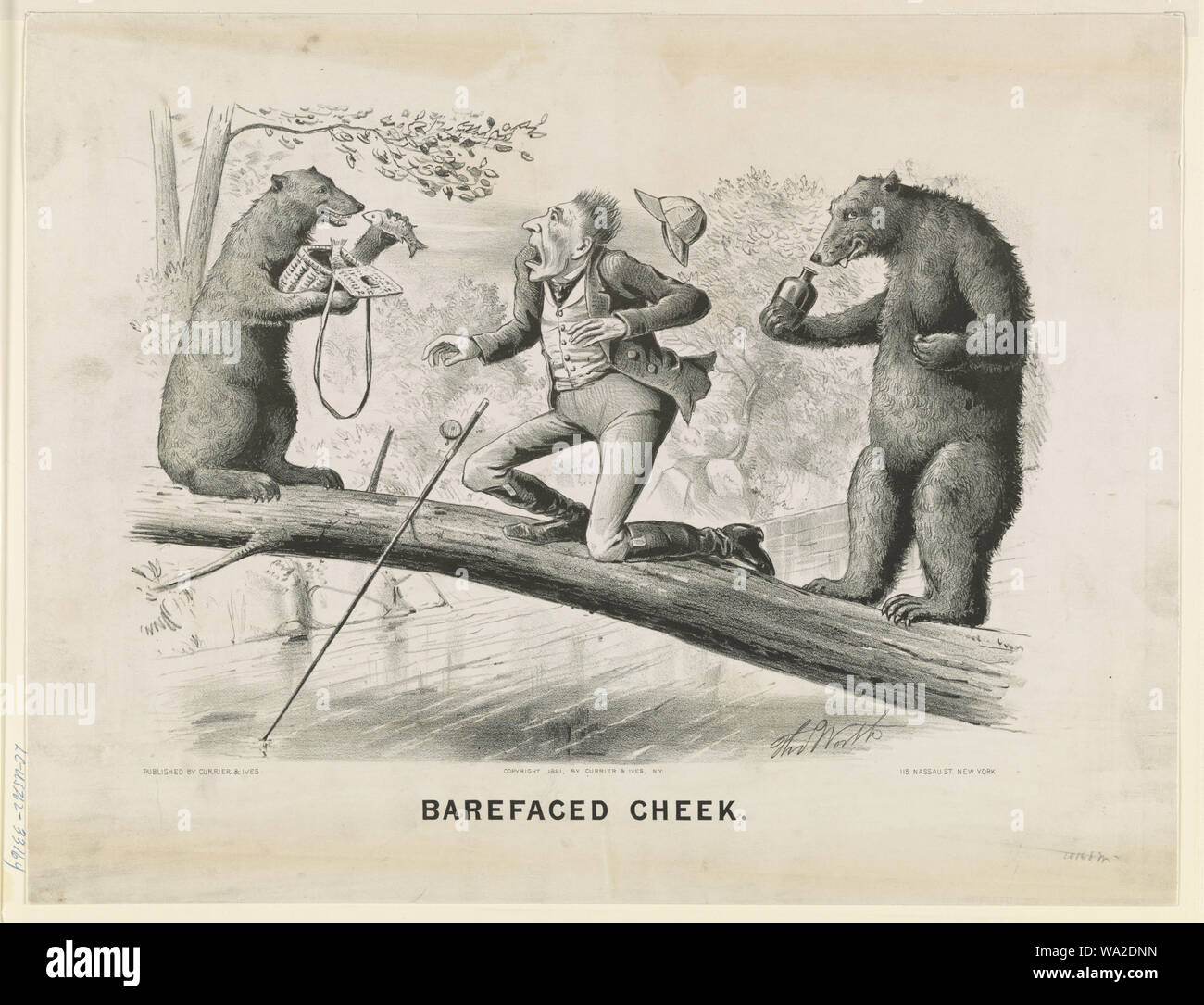 Barefaced hi-res stock photography and images - Alamy