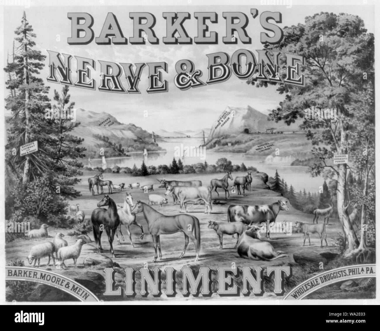 Liniment hi-res stock photography and images - Alamy