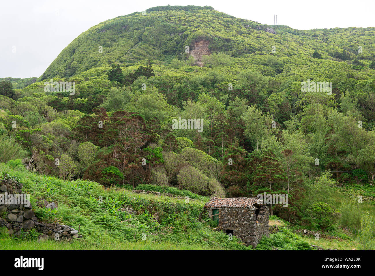 Azores in europe hi-res stock photography and images - Alamy