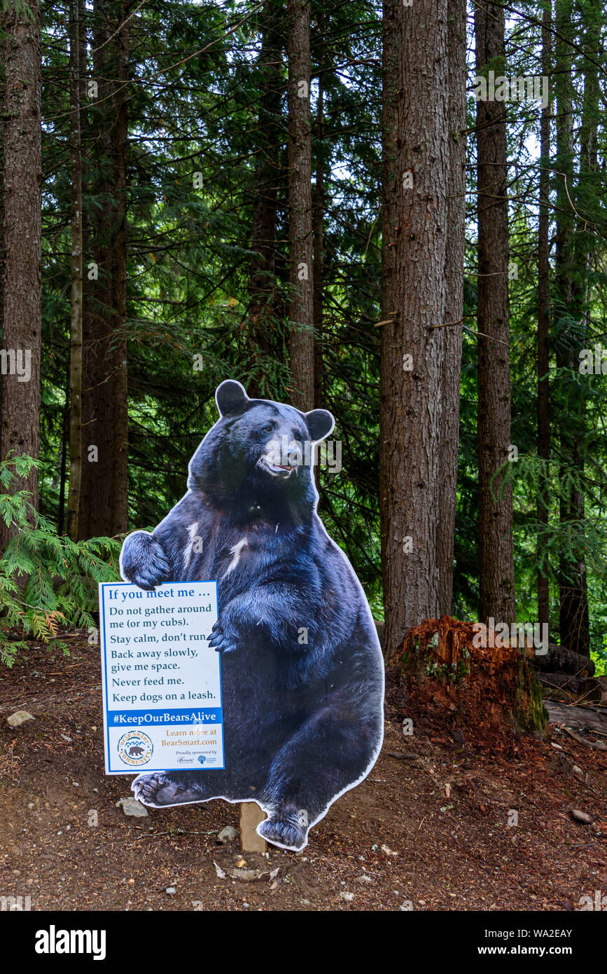 WHISTLER, BC/CANADA – AUGUST 2, 2019: Black bear sign with bear safety ...