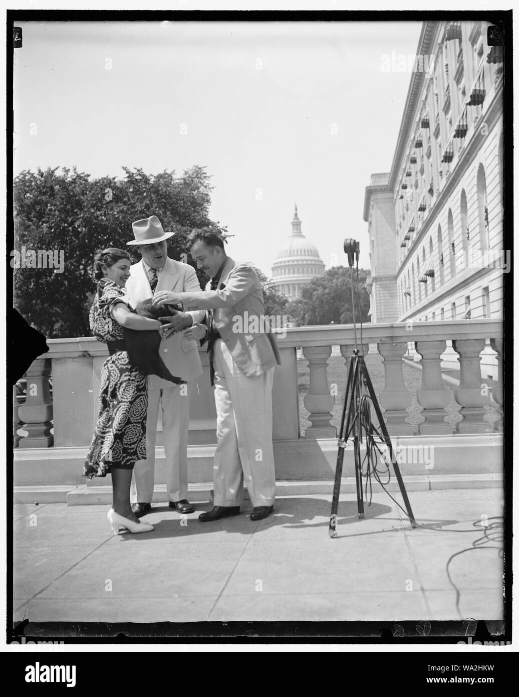 Hog callers hi-res stock photography and images - Alamy