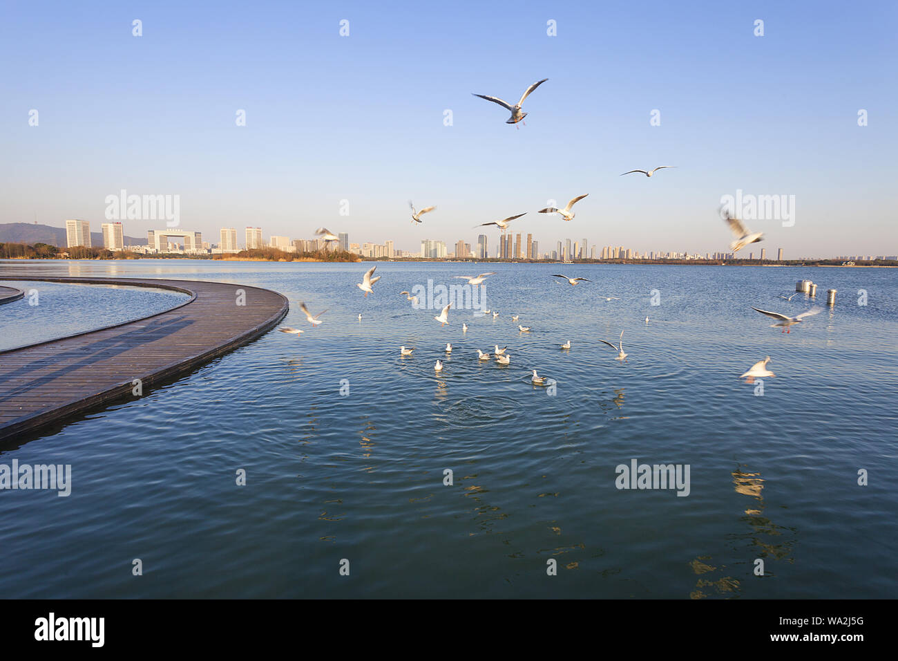 The taihu lake scenery Stock Photo - Alamy
