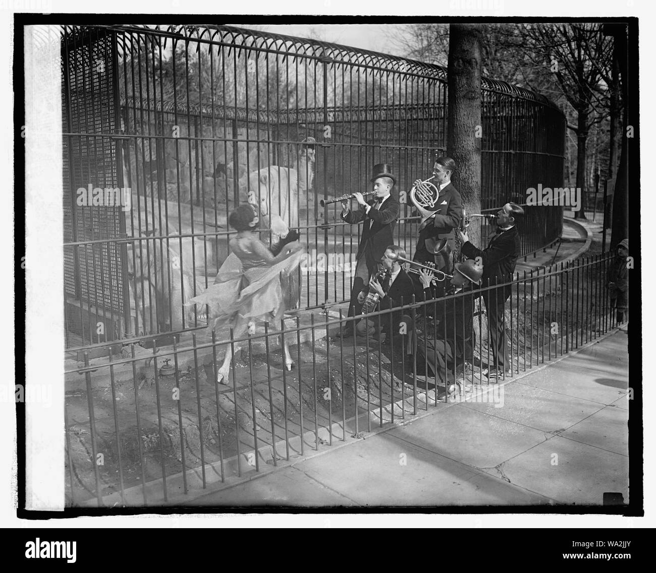 Zoo music Cut Out Stock Images & Pictures - Alamy
