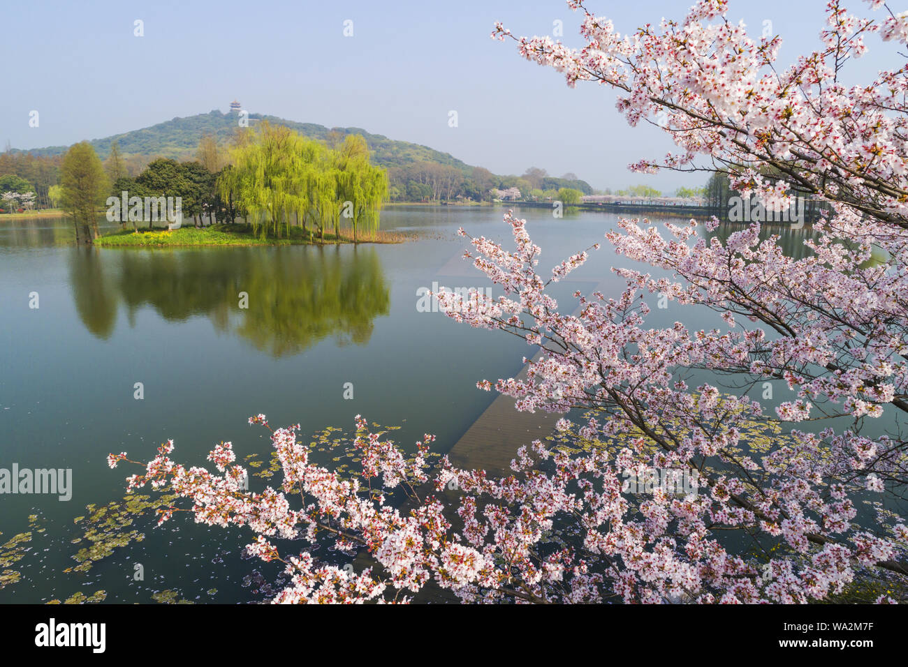 Wuxi turtle head isle Stock Photo - Alamy