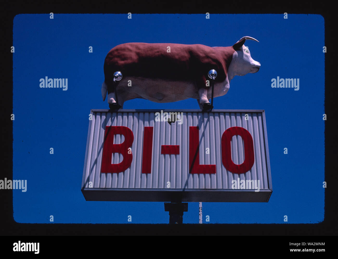 Bi-Lo Super Market sign, Cabarrus Avenue, Concord, North Carolina Stock ...