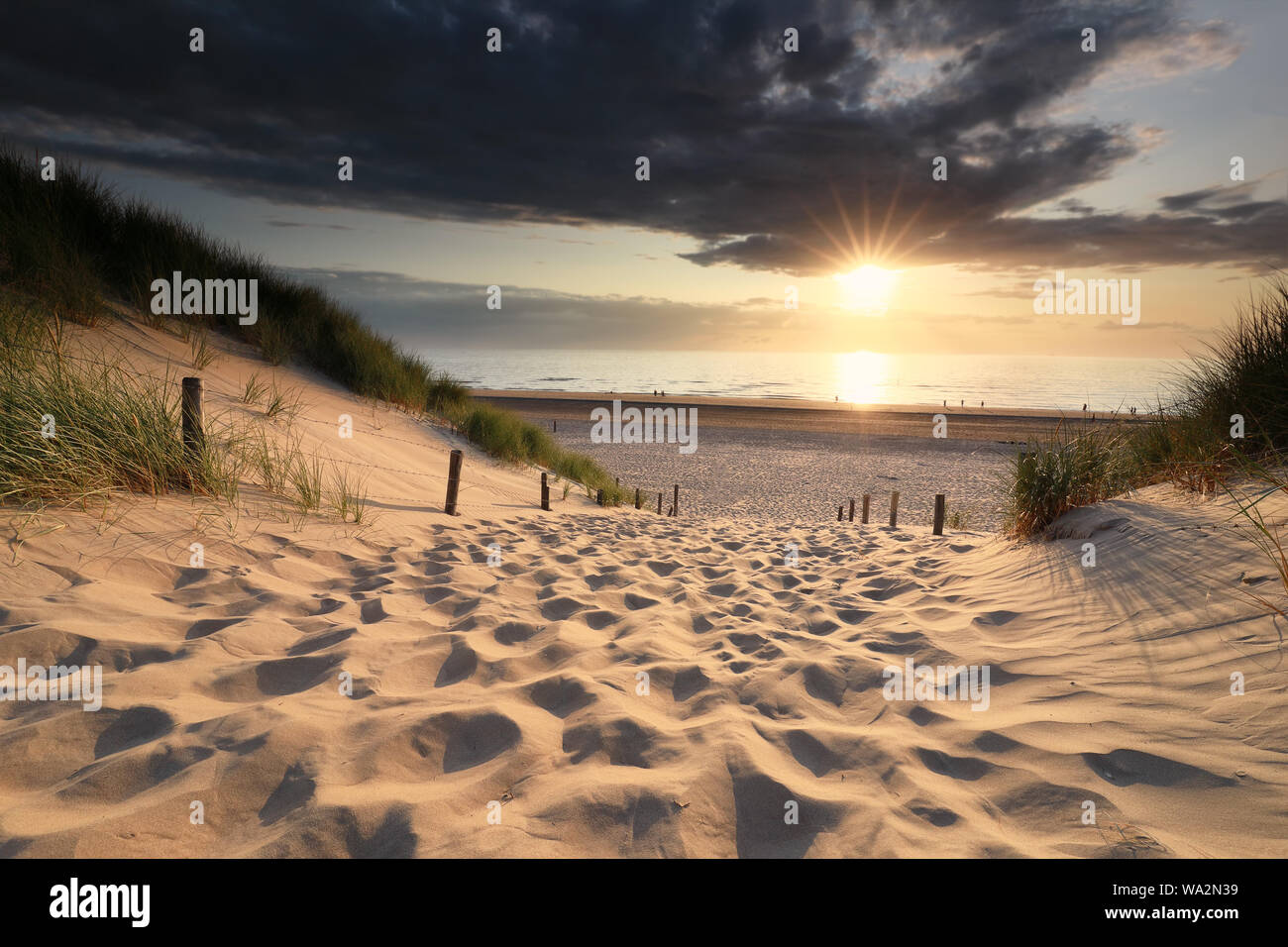 sand path to sea beach in summer at sunset, Netherlands Stock Photo - Alamy