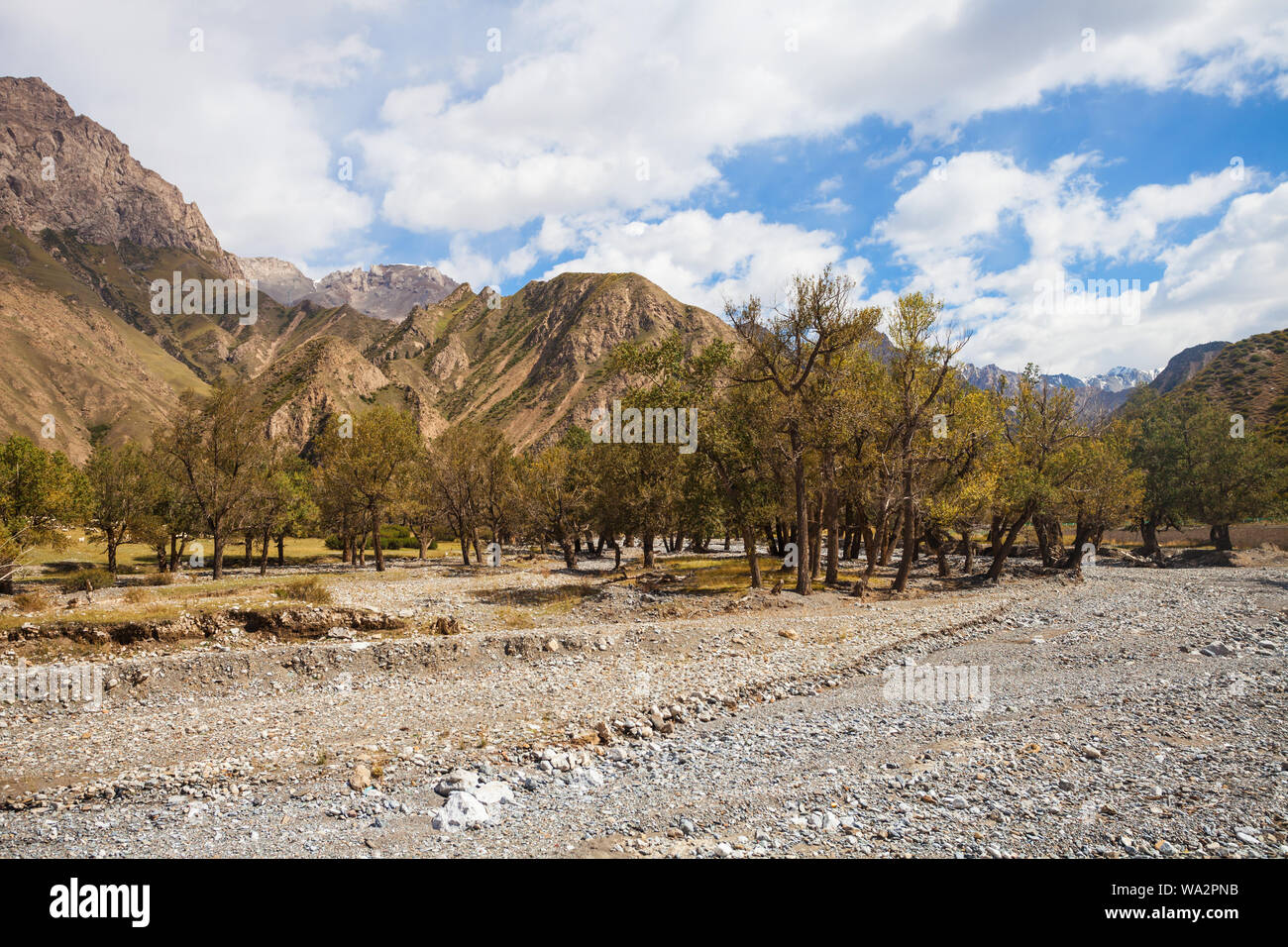 The xinjiang beautiful scenery Stock Photo - Alamy