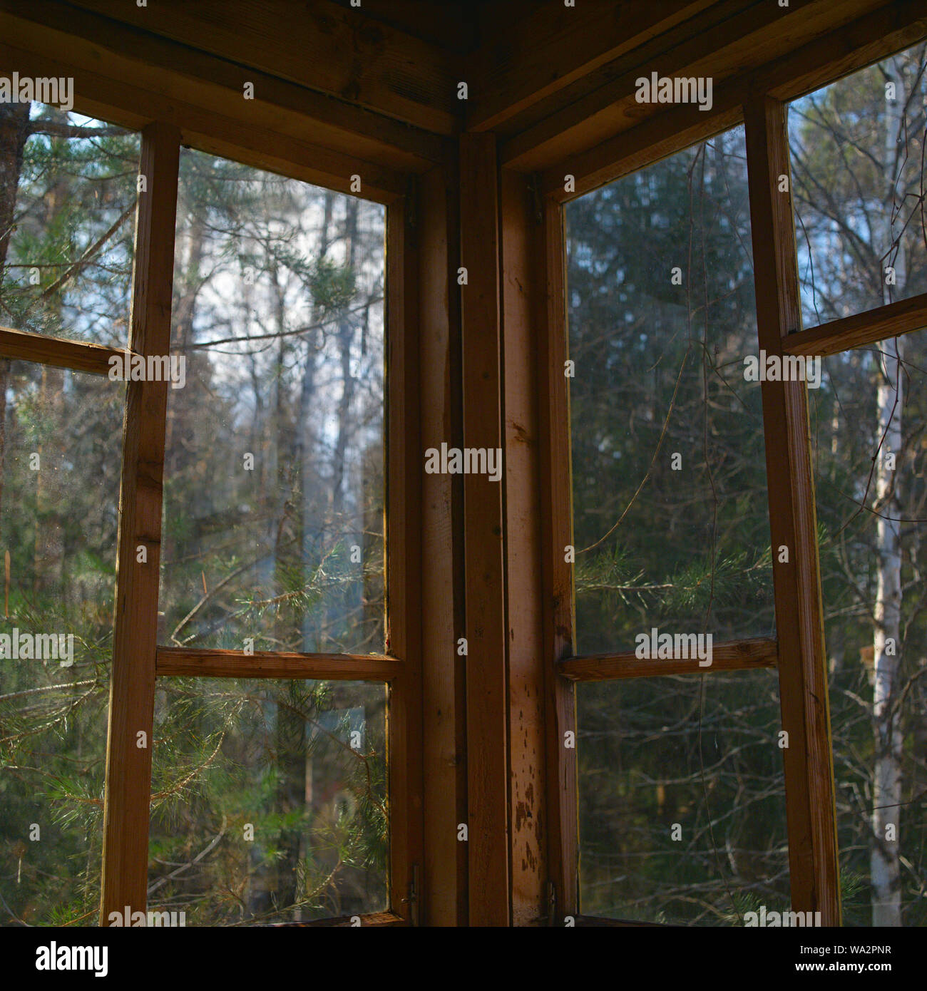 Interior of a wooden house with a forest behind a window Stock Photo ...
