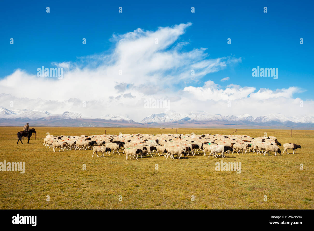 The xinjiang beautiful scenery Stock Photo - Alamy