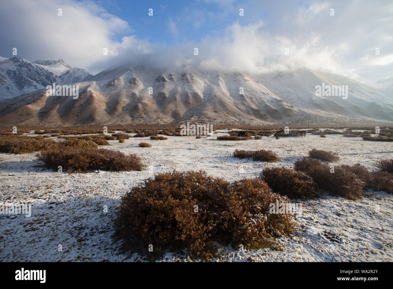 Southern xinjiang tianshan mountains hi-res stock photography and ...