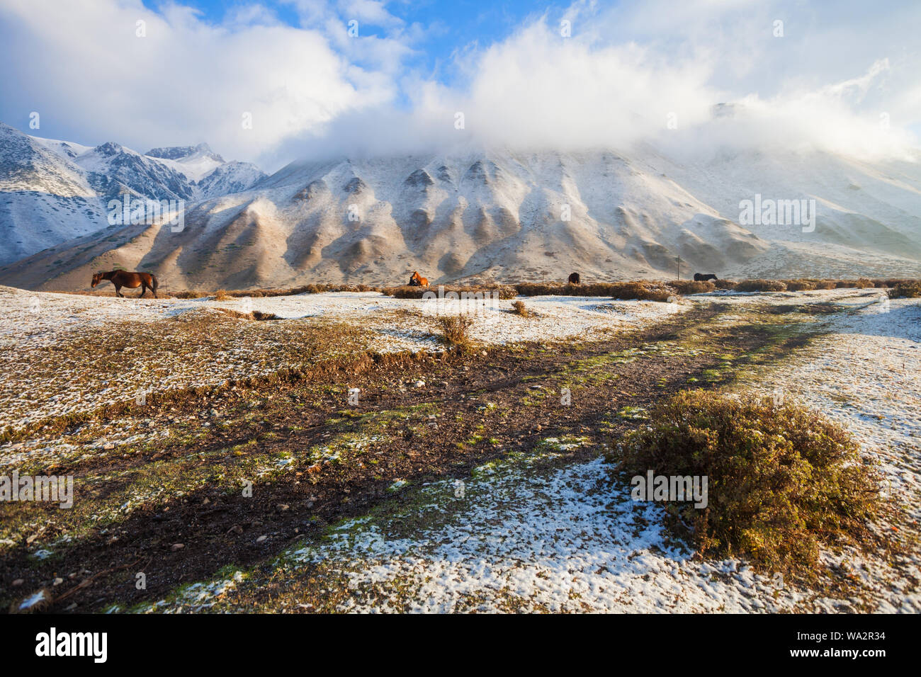 Southern xinjiang tianshan mountains hi-res stock photography and ...