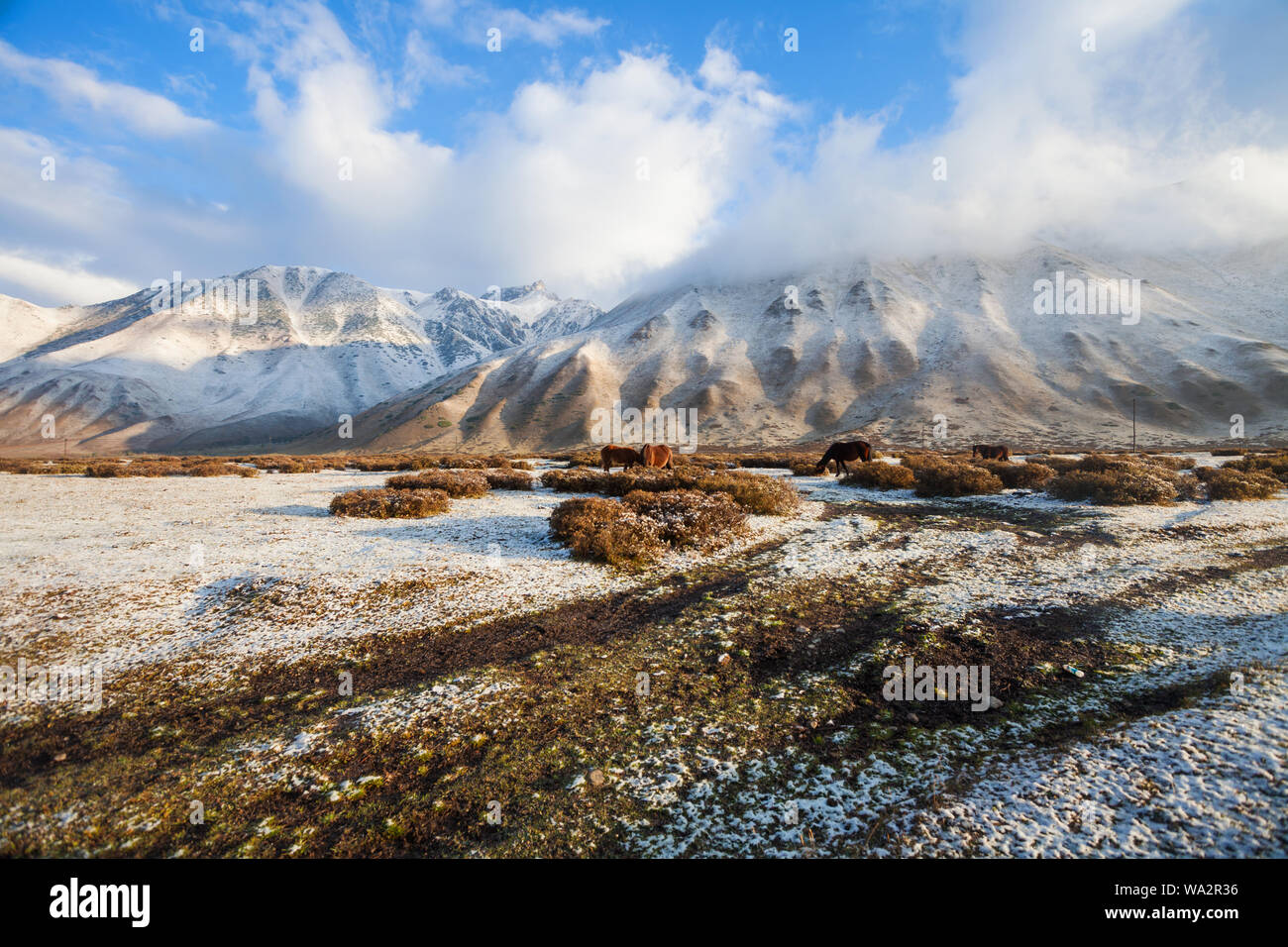 Southern xinjiang tianshan mountains hi-res stock photography and ...