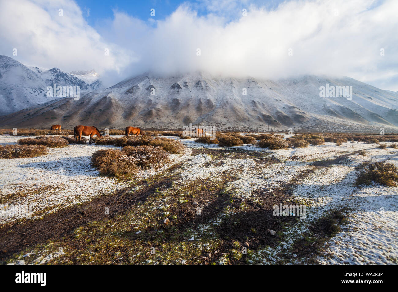 Xinjiang snow mountain scenery Stock Photo - Alamy