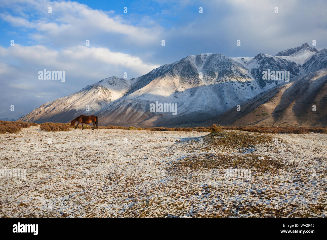 Southern xinjiang tianshan mountains hi-res stock photography and ...