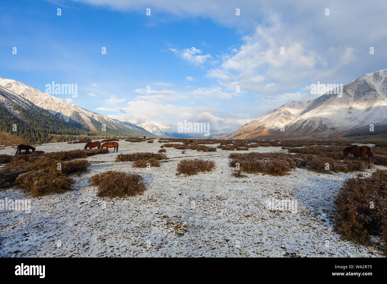 Southern xinjiang tianshan mountains hi-res stock photography and ...