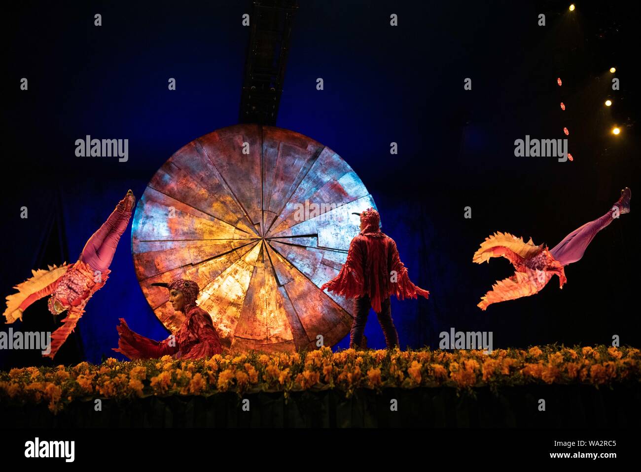 Cirque du soleil luzia hi-res stock photography and images - Alamy