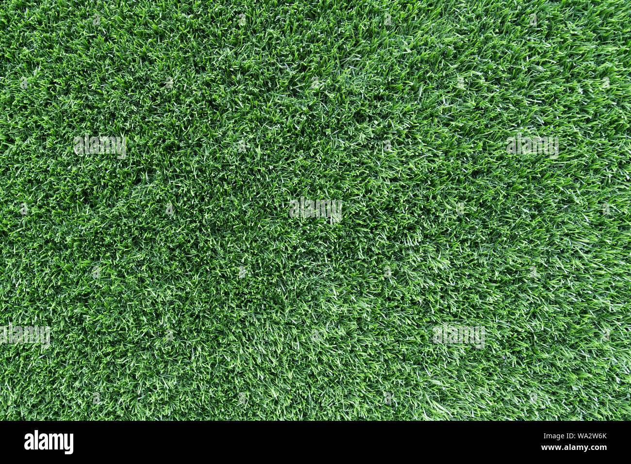 Green grass texture background, pattern top view Stock Photo - Alamy