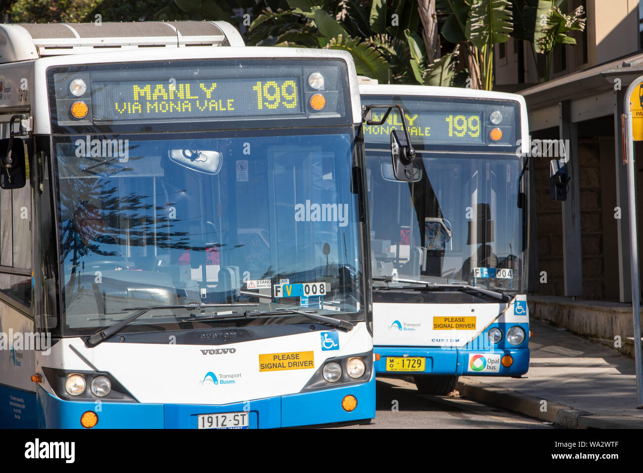 Two Sydney public transport buses side by side in Palm beach,Sydney ... Two Sydney public transport buses side by side in Palm beach,Sydney ...