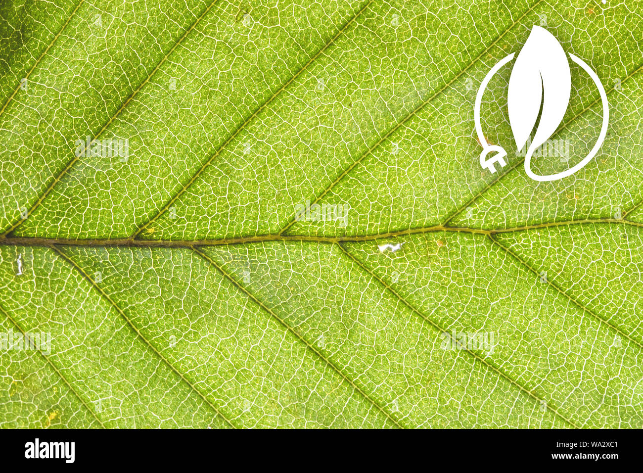 Eco-friendly and renewable energy icon on a natural, green leaf ...