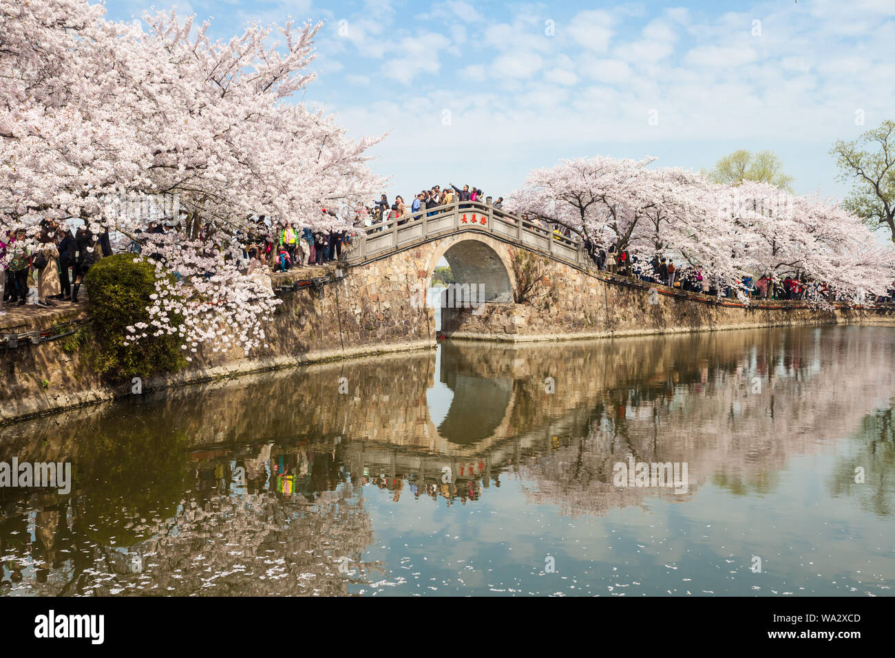 Jiangnan famous scenic spot - the turtle head isle Stock Photo - Alamy