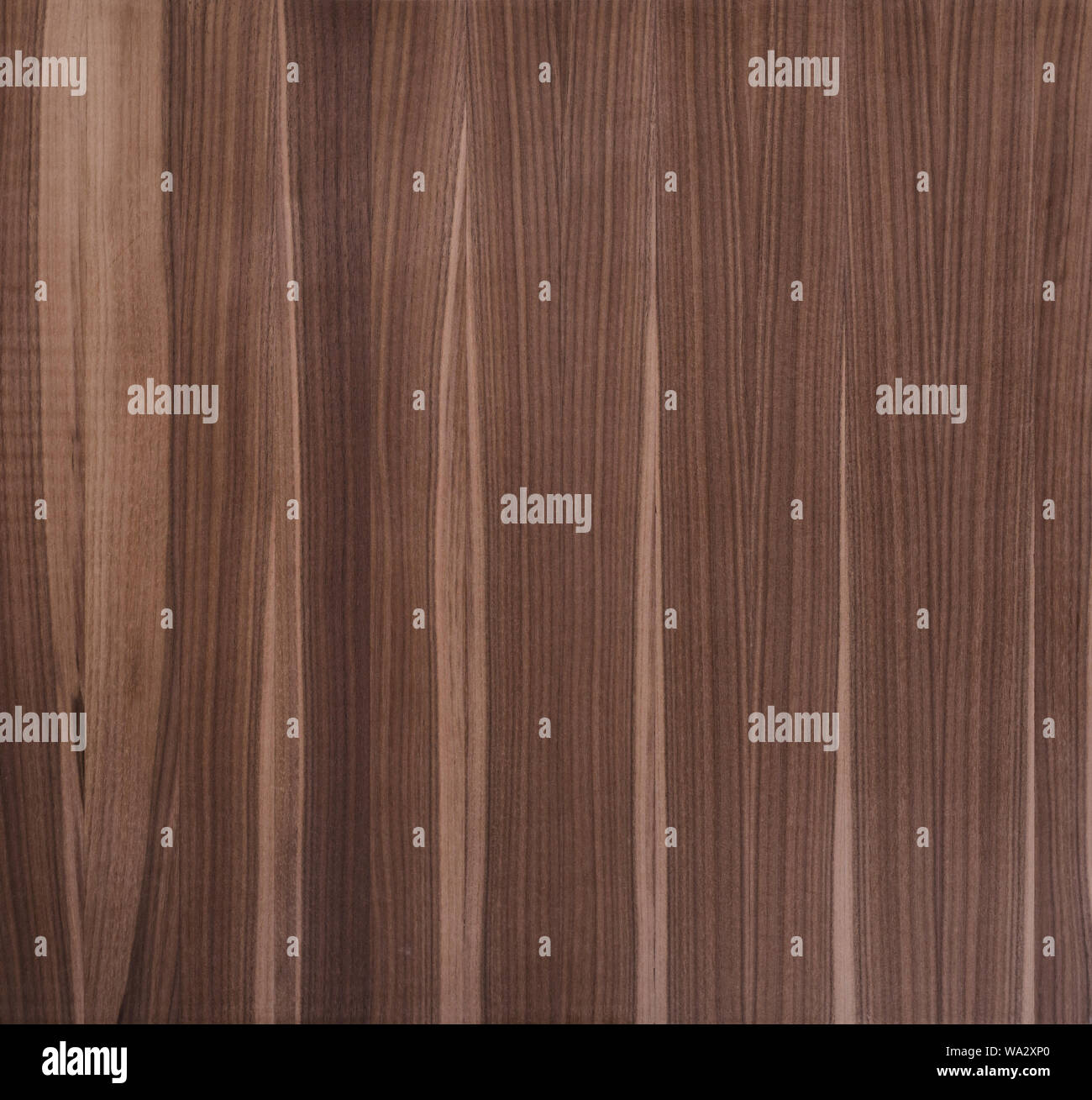 Black walnut wood texture from narrow planks vertical untreated, good ...