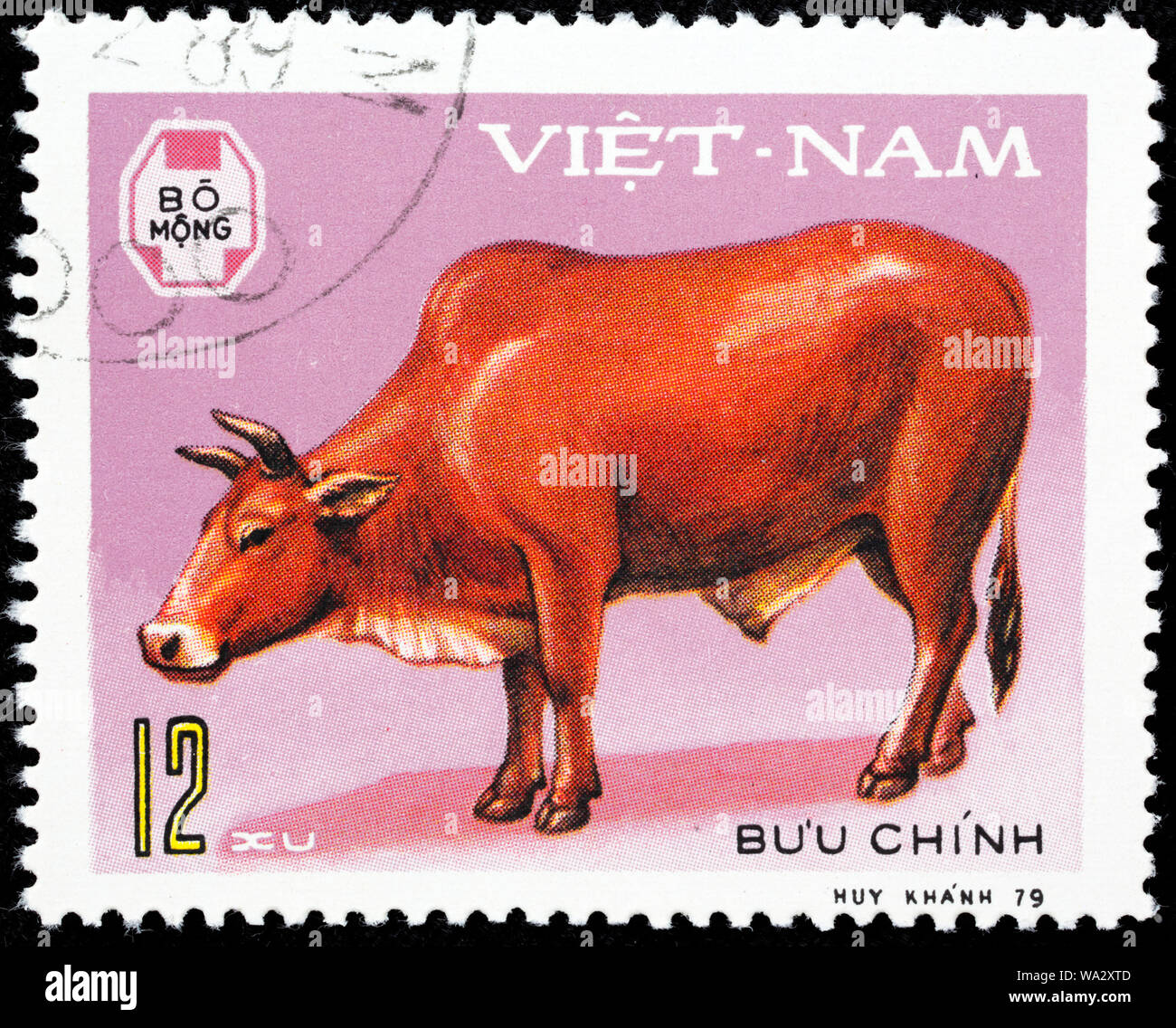 Cattle, Bos primigenius indicus, postage stamp, Vietnam, 1979 Stock ...