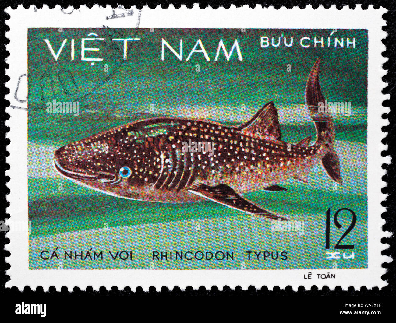 Rhincodon typus, whale shark, postage stamp, Vietnam, 1980 Stock Photo ...