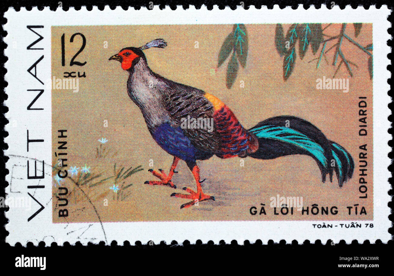 Siamese Fireback, Lophura diardi, Pheasant, postage stamp, Vietnam ...