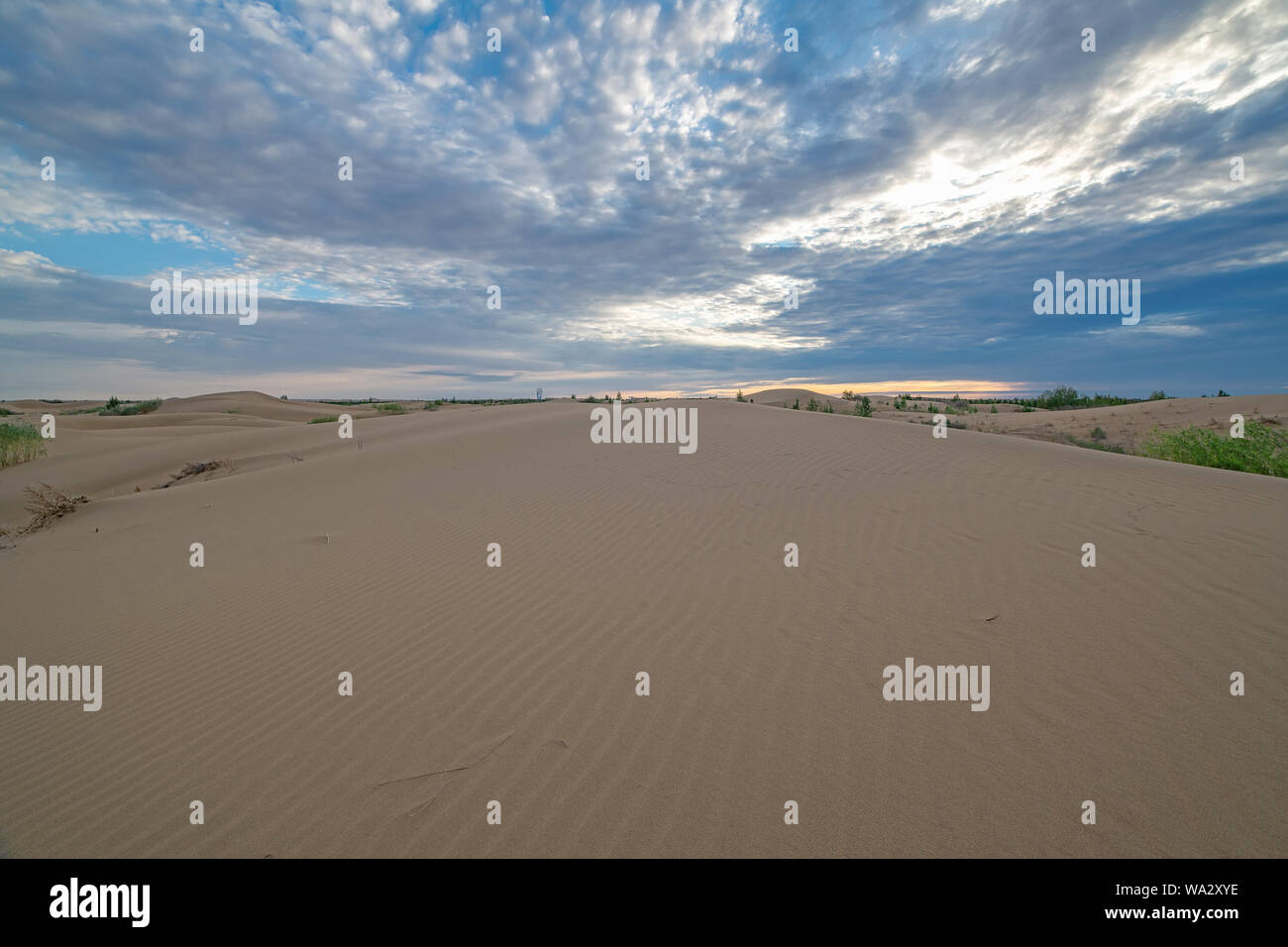 The Kubuqi desert in ordos in Inner Mongolia Stock Photo - Alamy