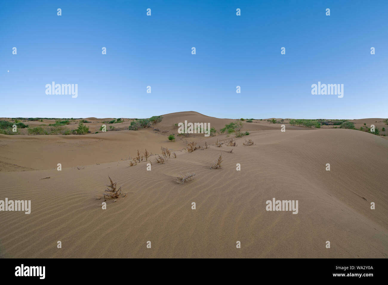 Ordos inner mongolia china asia hi-res stock photography and images - Alamy