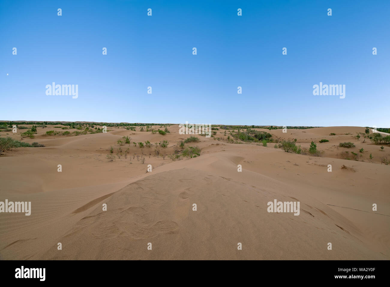 The Kubuqi desert in ordos in Inner Mongolia Stock Photo - Alamy