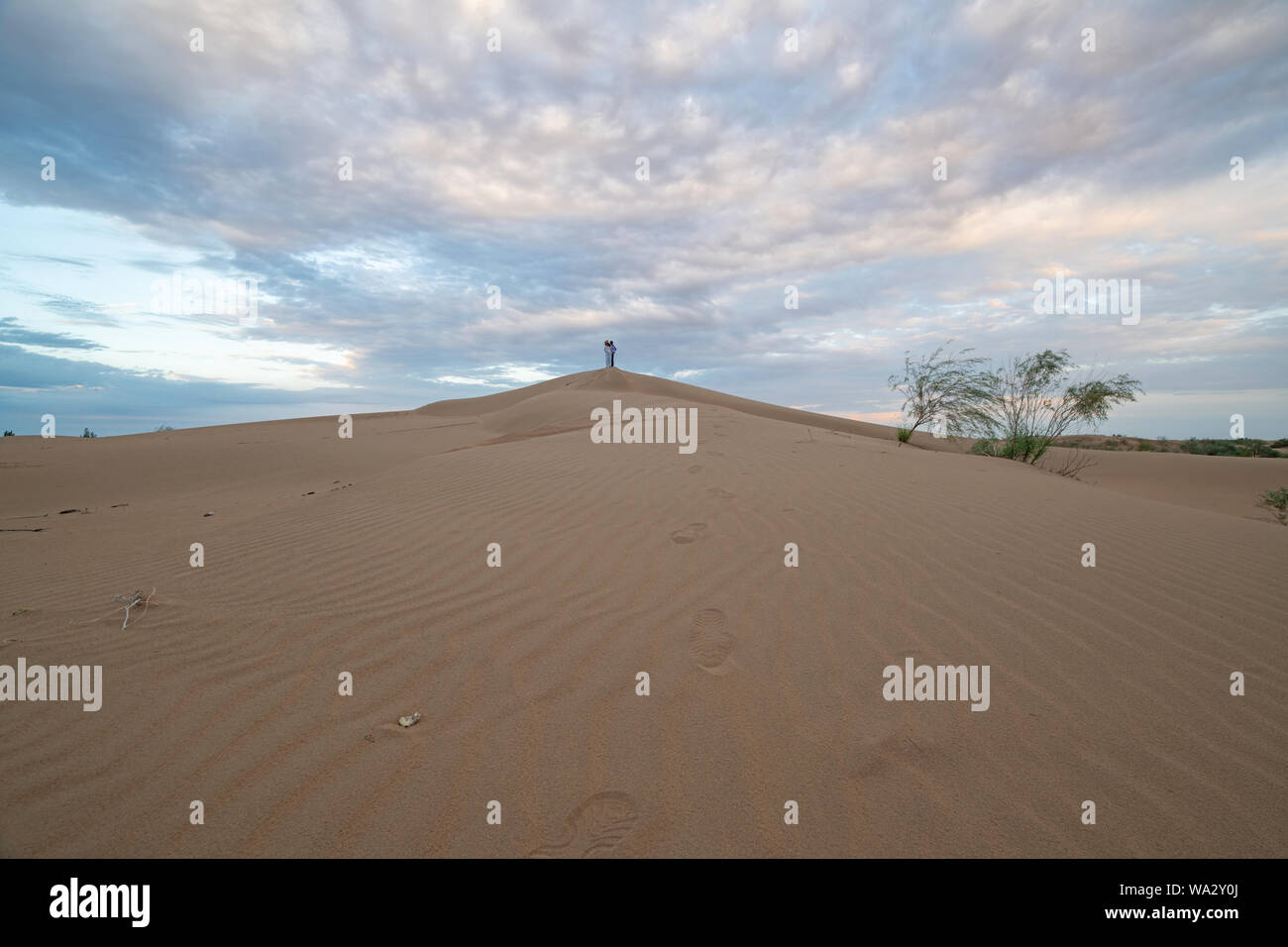 Mongolia ordos desert hi-res stock photography and images - Alamy