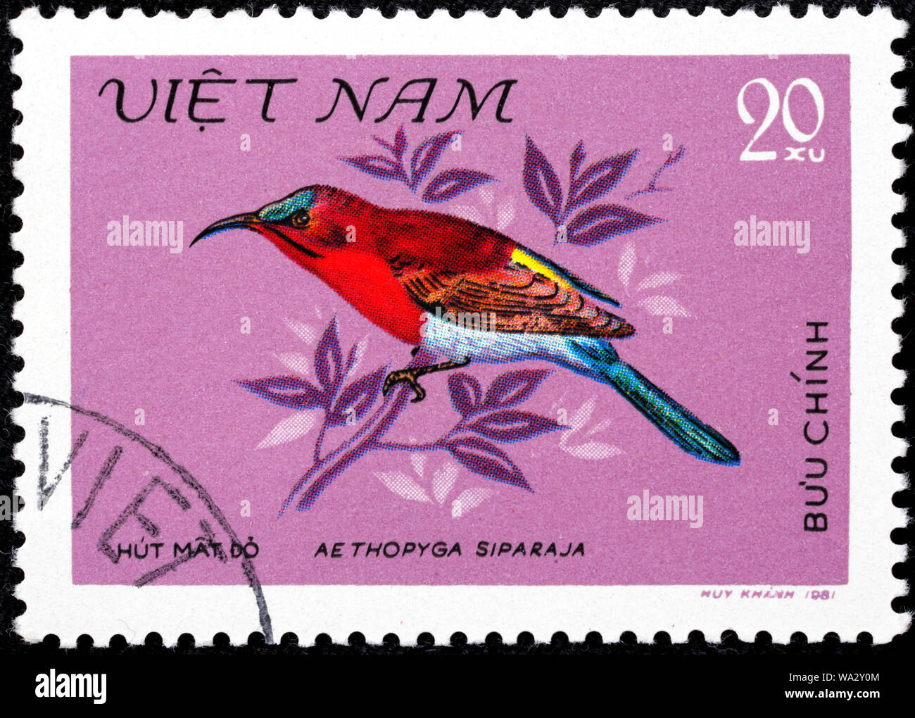 Crimson sunbird hi-res stock photography and images - Alamy