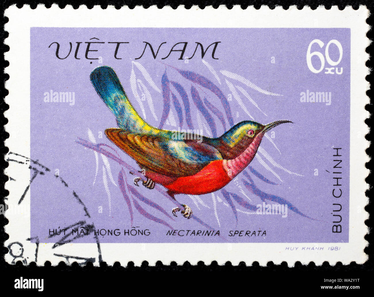 Leptocoma sperata, Purple-throated Sunbird, postage stamp, Vietnam ...