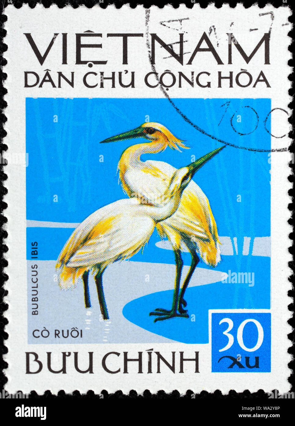 Bubulcus ibis, Western cattle egret, postage stamp, Vietnam, 1972 Stock ...