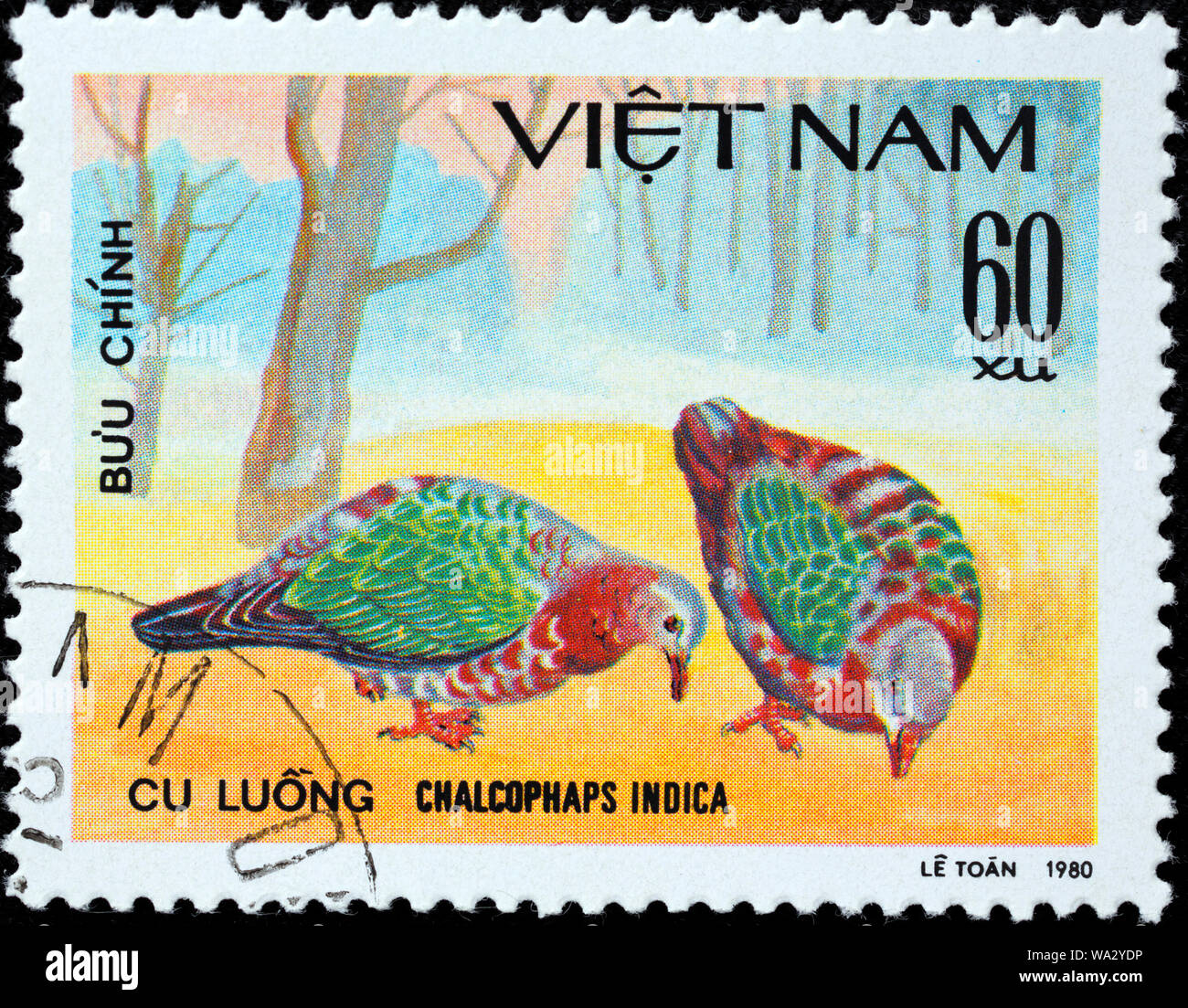 Chalcophaps indica, Emerald Dove, postage stamp, Vietnam, 1981 Stock ...
