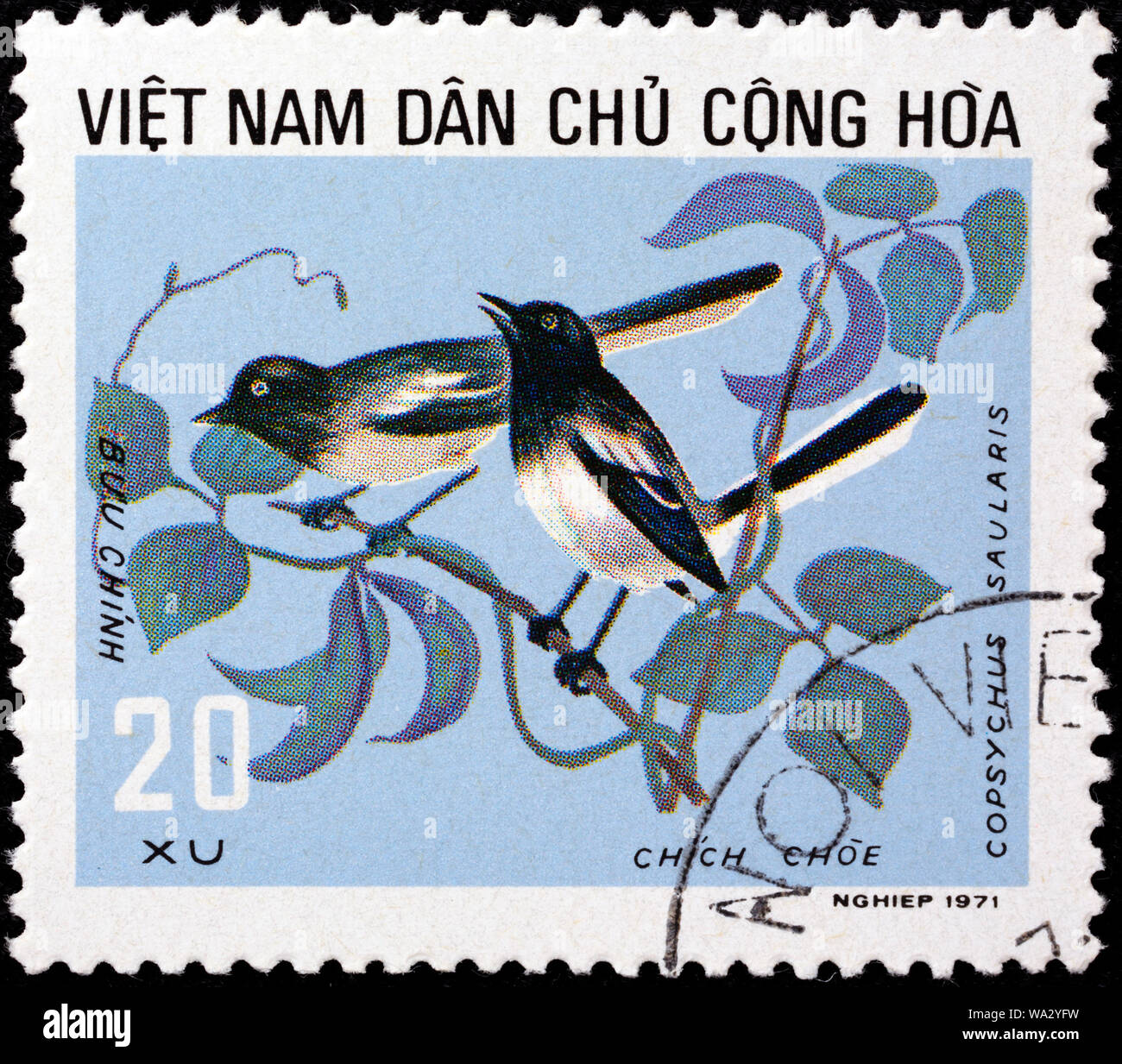 Copsychus saularis, Oriental Magpie Robin, postage stamp, Vietnam, 1973 ...