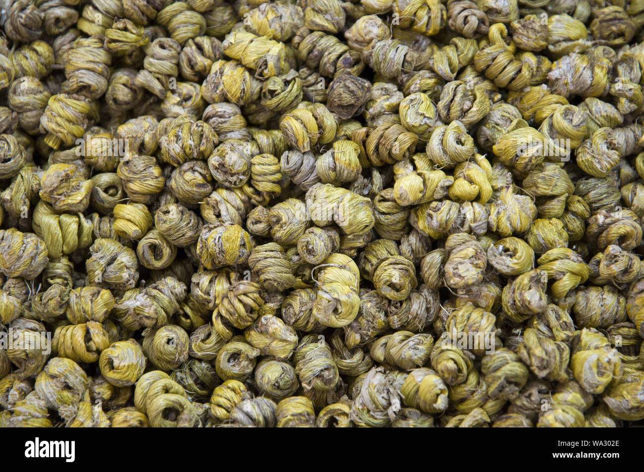 Tin caulis dendrobii Stock Photo - Alamy