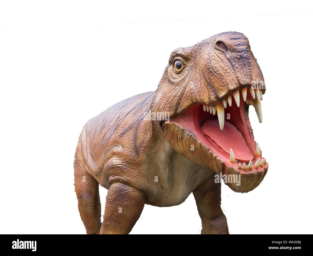 Tyrannosaurus T-rex ,dinosaur on white background Stock Photo - Alamy