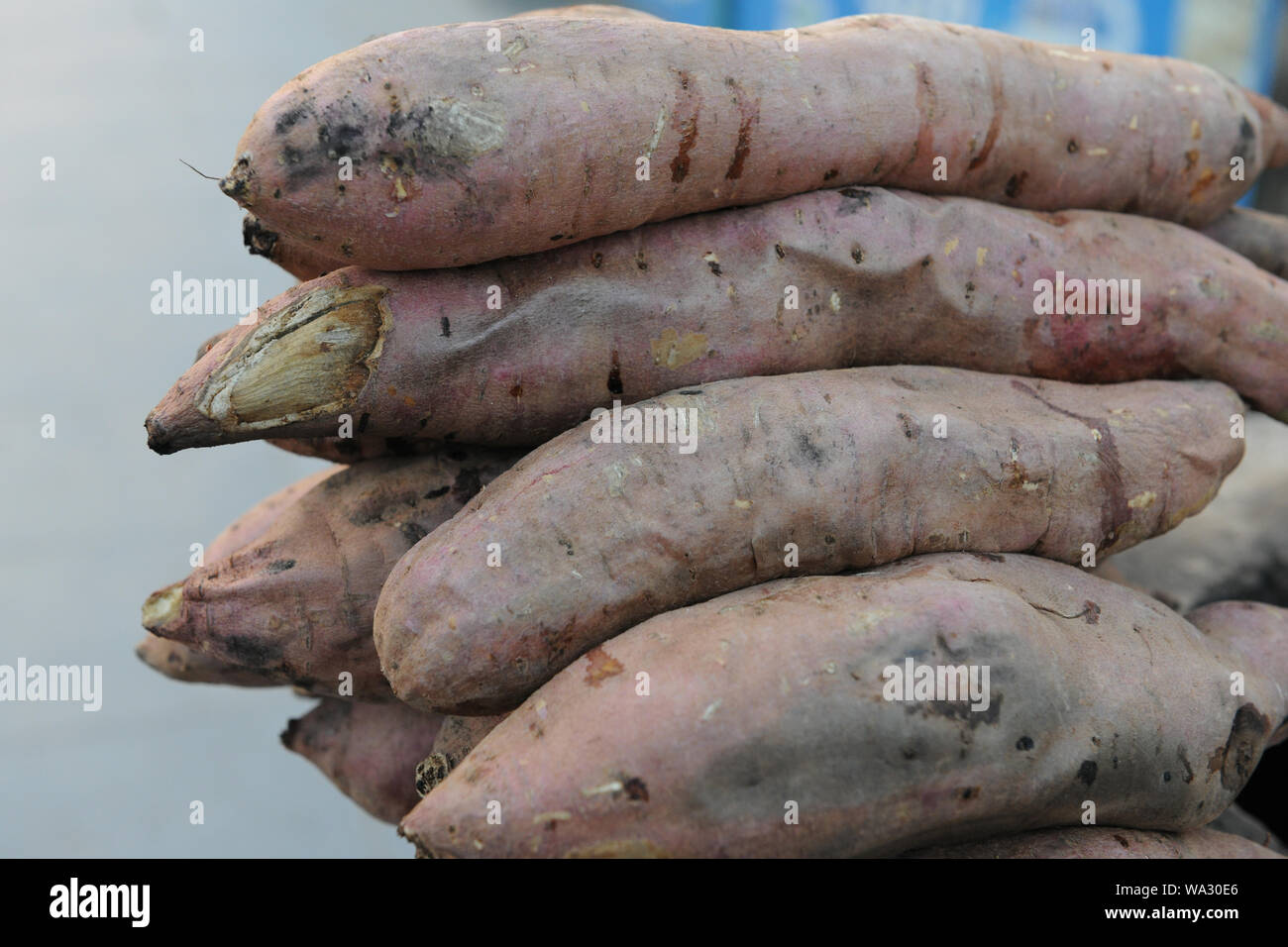 Baked sweet potato on hi-res stock photography and images - Alamy